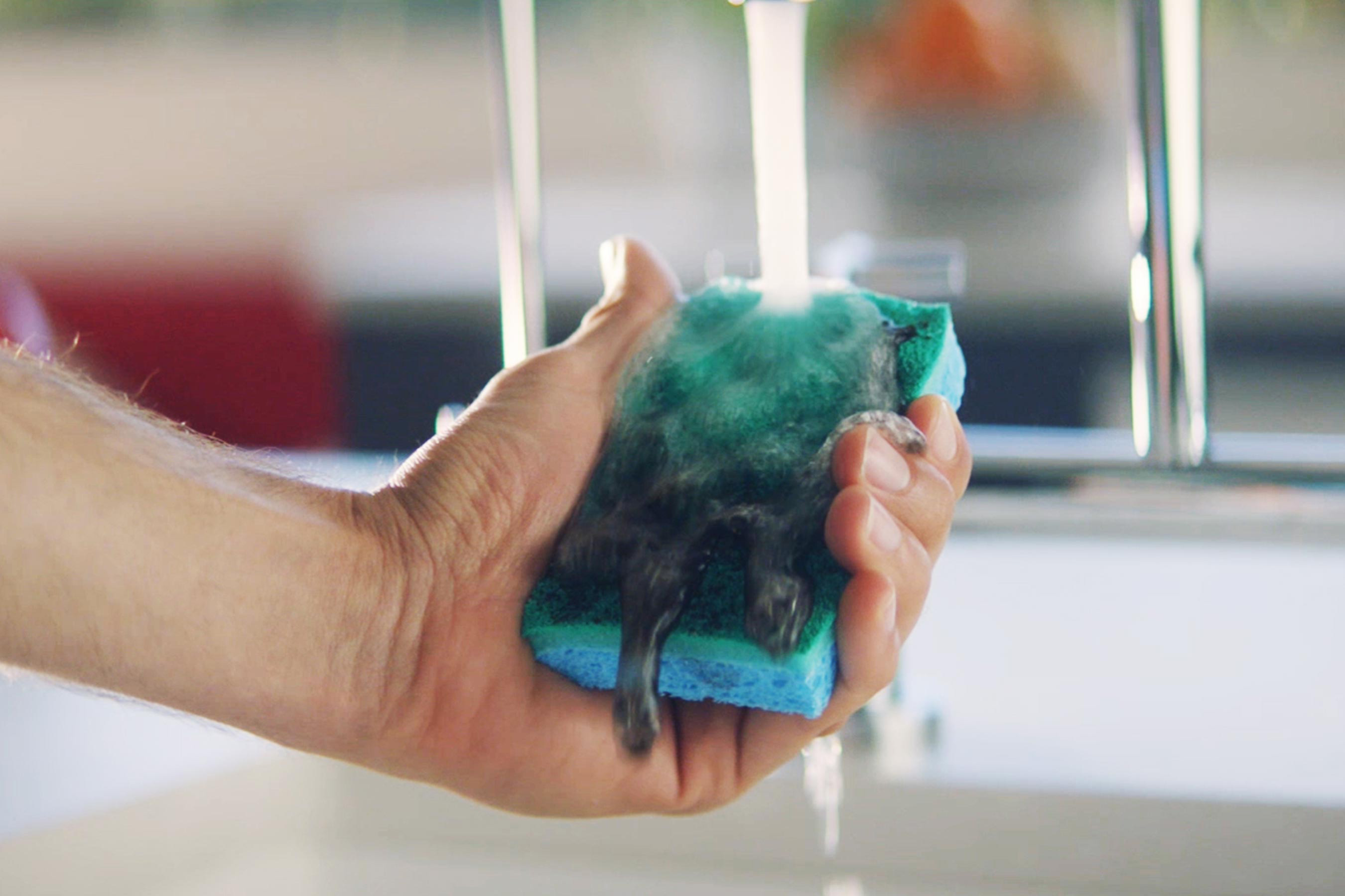 Découvrez Scrunge®: L'éponge à récurer rinçable la plus résistante qui soit