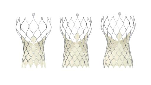 MEDTRONIC OBTIENT L’INSCRIPTION DU SYSTÈME RECAPTURABLE COREVALVE ...