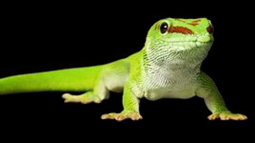 La technologie adhésive de Bostik adoptée pour les dossards du Tour de ...