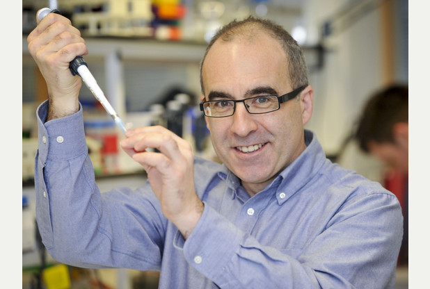 King Faisal International Prize Winners Announced