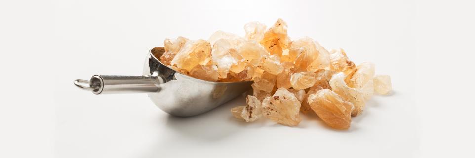 Alland & Robert introduces karaya gum to the food industry