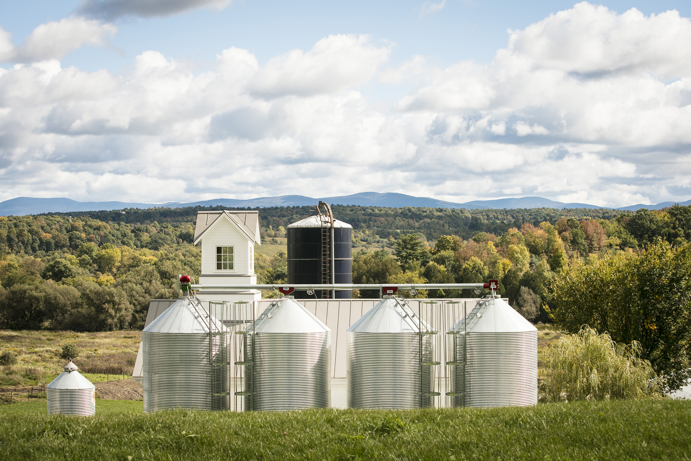 WhistlePig & Moët Hennessy Announce International Partnership