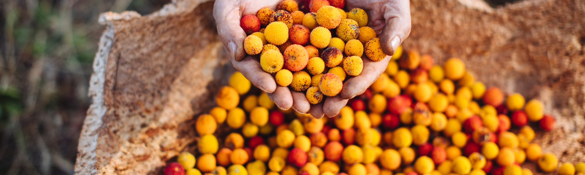 Clarins continues to move forward with its CSR strategy